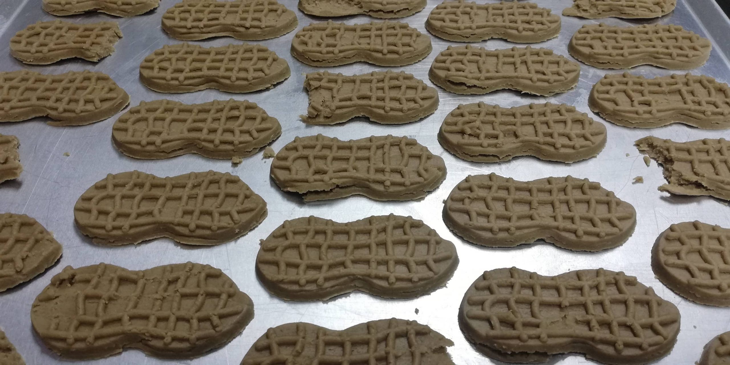 Awaken Cookies Rotary Mould Machine (CRM16) – YESOTECH SDN BHD