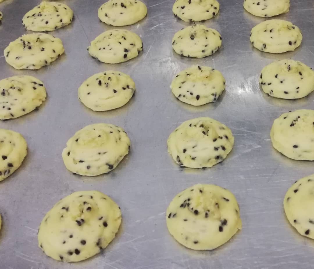 JUNIOR MINI COOKIES DROP WIRECUT DEPOSITOR 2 IN 1 (JMCDW-10) – YESOTECH ...